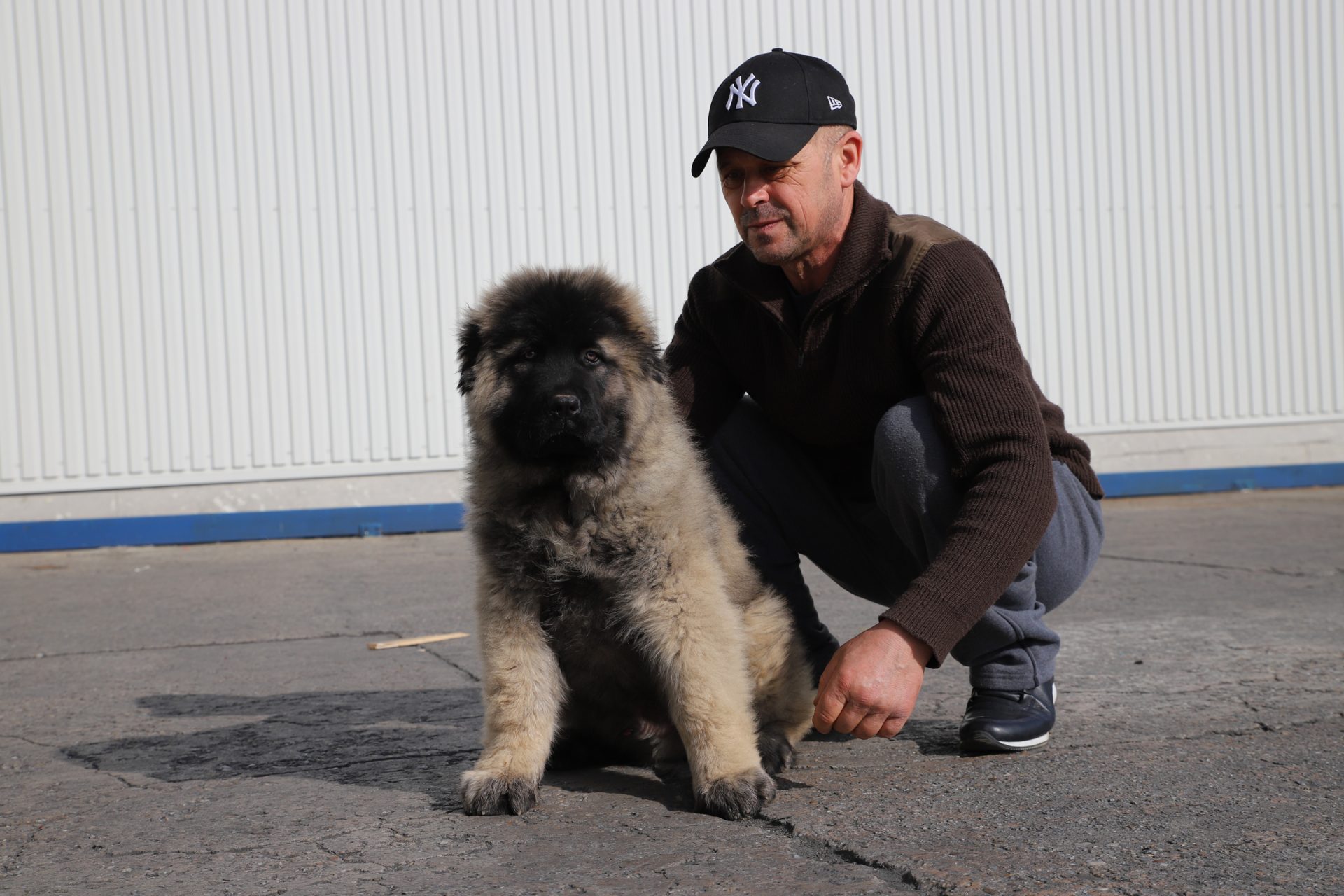 How a Caucasian Shepherd grows up - Titans Family