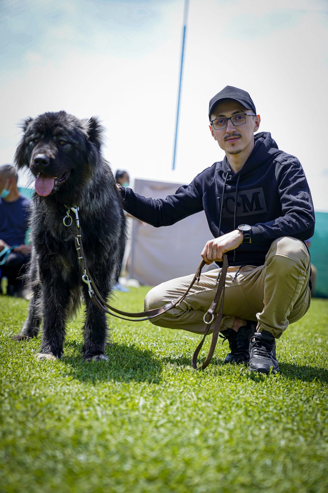 Training your puppy to walk on a leash - Titans Family
