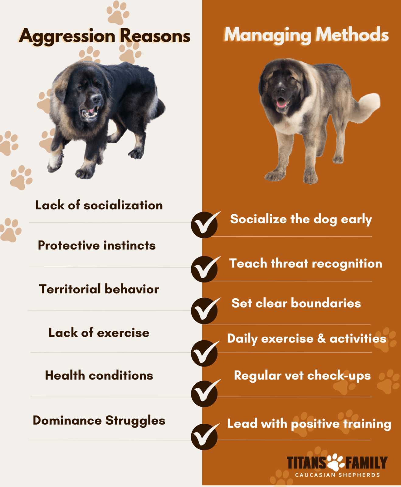 Understanding & Managing Caucasian Shepherd Angry Behavior