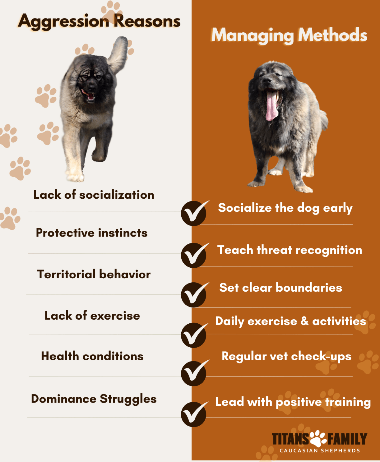 Understanding & Managing Caucasian Shepherd Angry Behavior