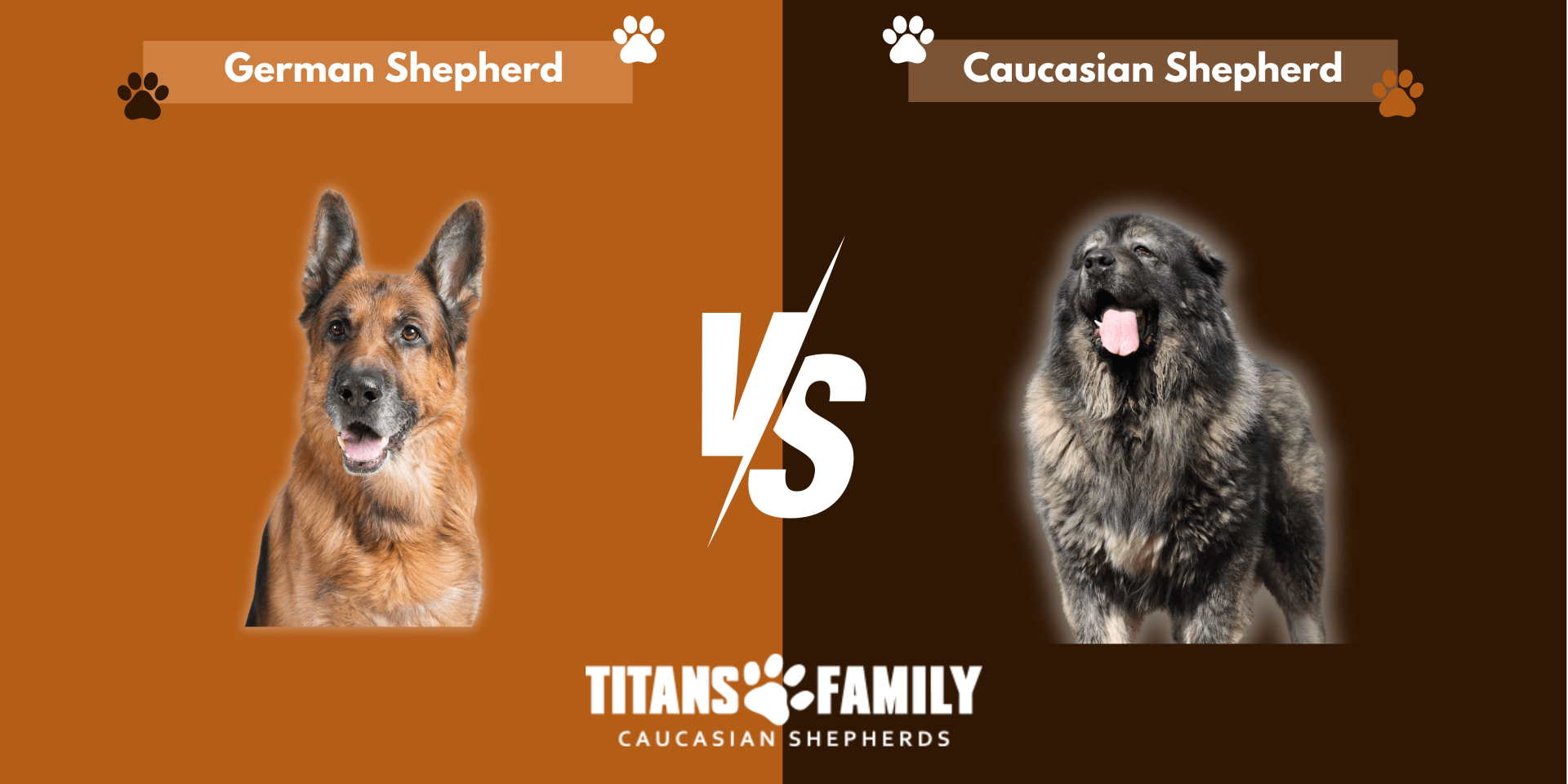 Caucasian Shepherd vs. German Shepherd | Best Guard Dogs